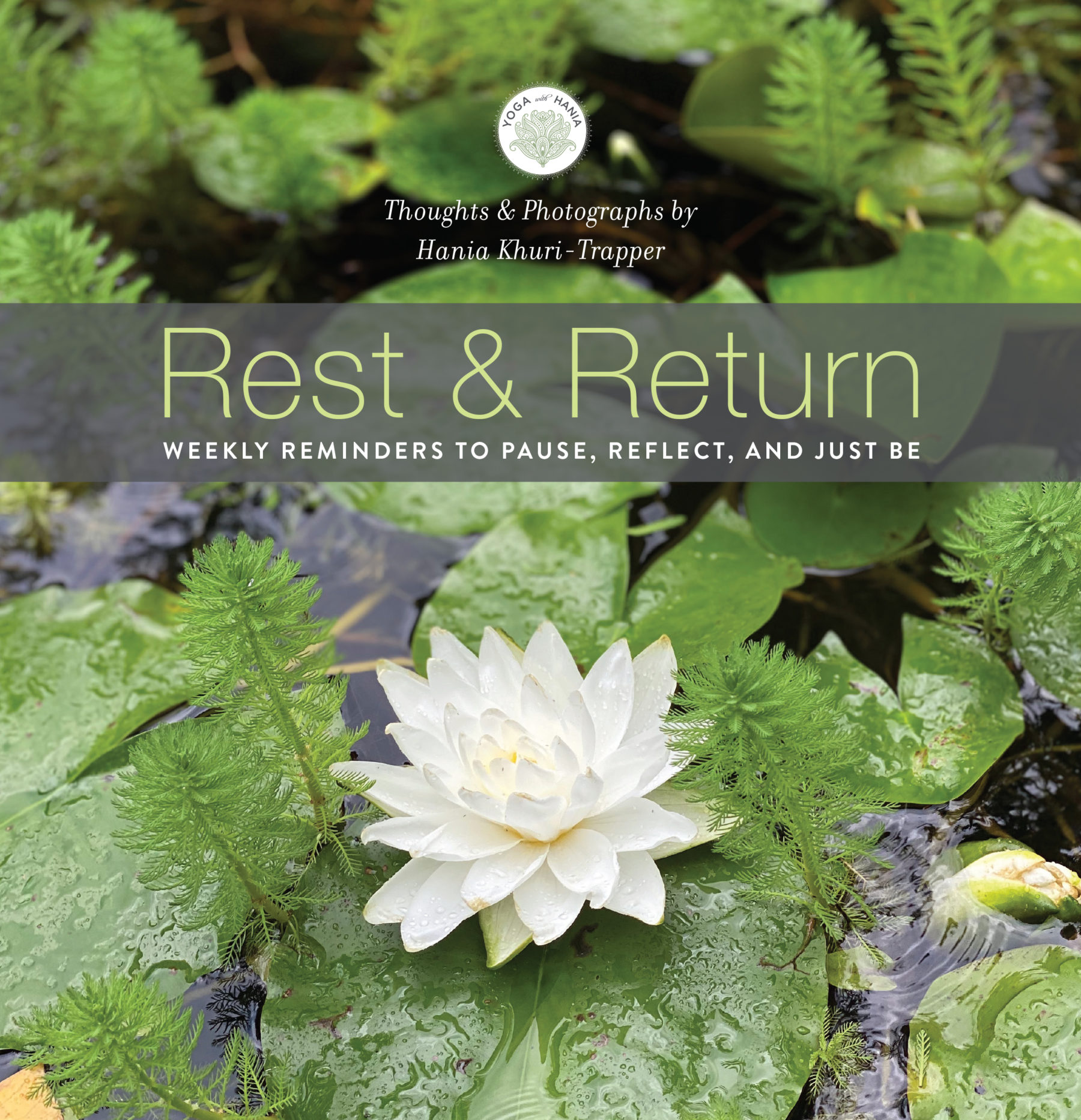Rest & Return: Daily Reminders to Pause, Reflect, and Just Be – Yoga ...
